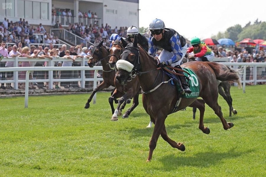 “Shomoos Athbah” Wins the ARO Cup | Athbah StudAthbah Stud | For Arabians