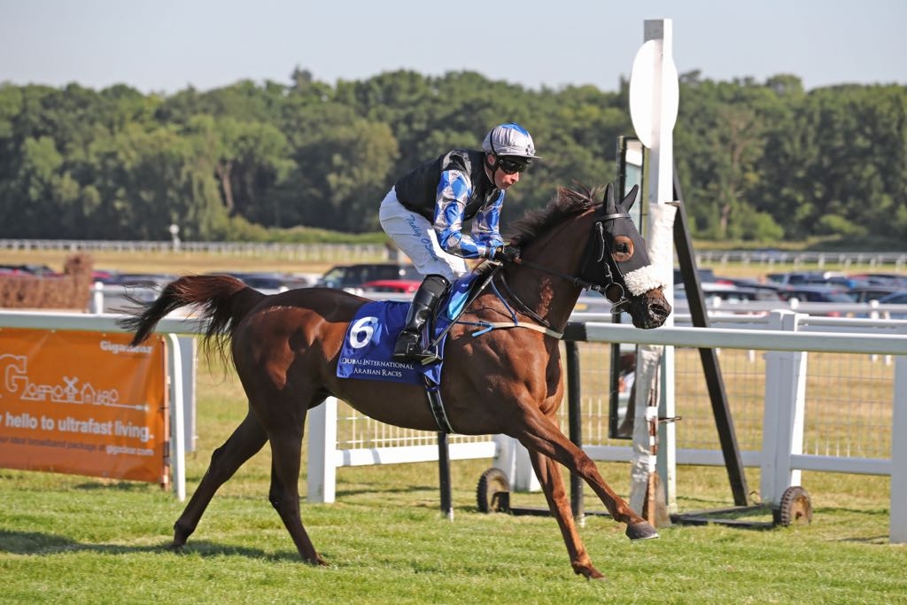 "Shomoos Athbah" Wins Hatta Int. Stakes | Athbah StudAthbah Stud | For ...