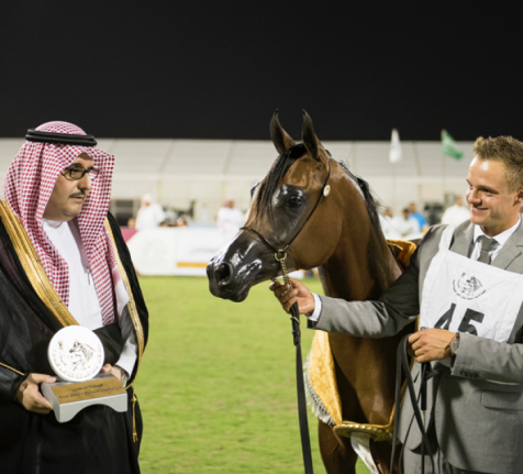 EKS Alihandro | Athbah StudAthbah Stud | For Arabians